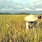 Aklanon Common Greetings and Salutations