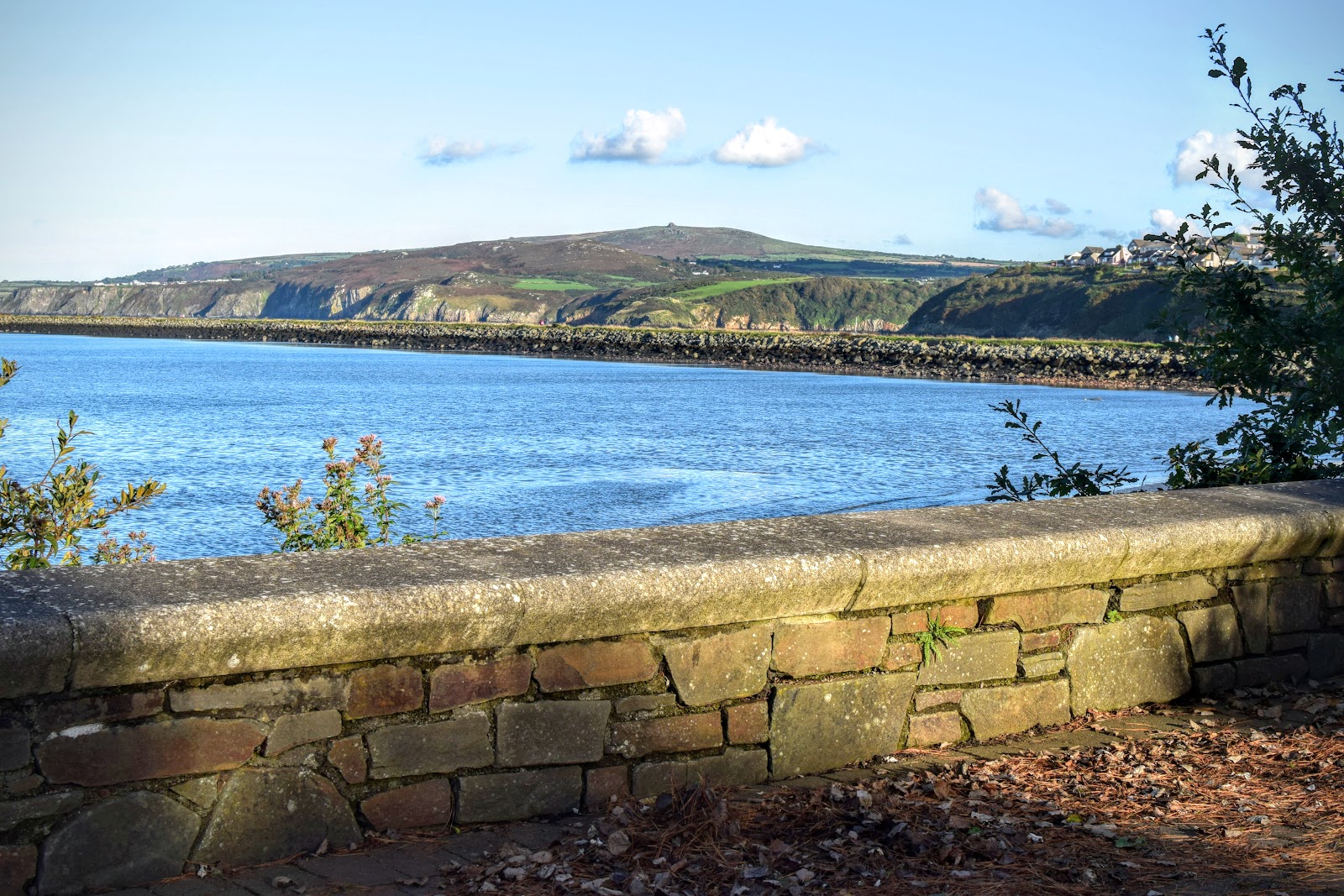 A Good Day in Goodwick, October 2016 - Diary of the Evans-Crittens