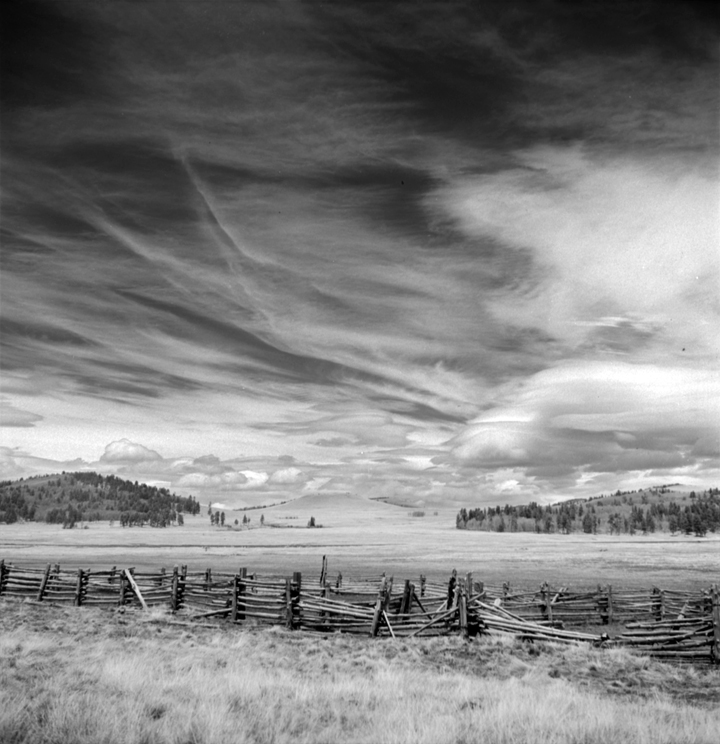 MSU ART 359 Class Blog: Barry Goldwater | by Amanda Smith