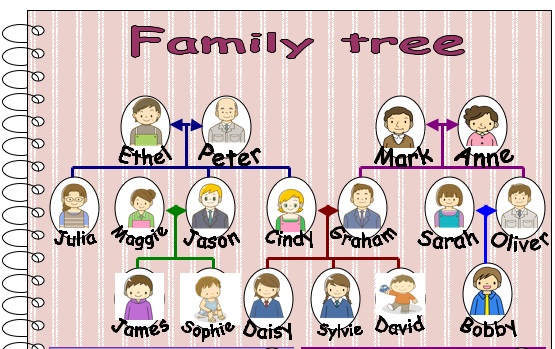 ENGLISH 1: The family / possessive adjectives