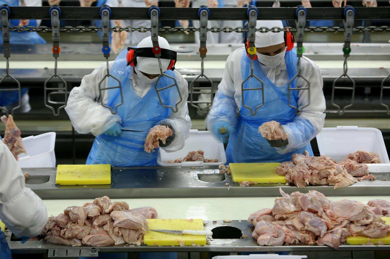 NUEVAS INVESTIGACIONES: INDUSTRIA ALIMENTARIA