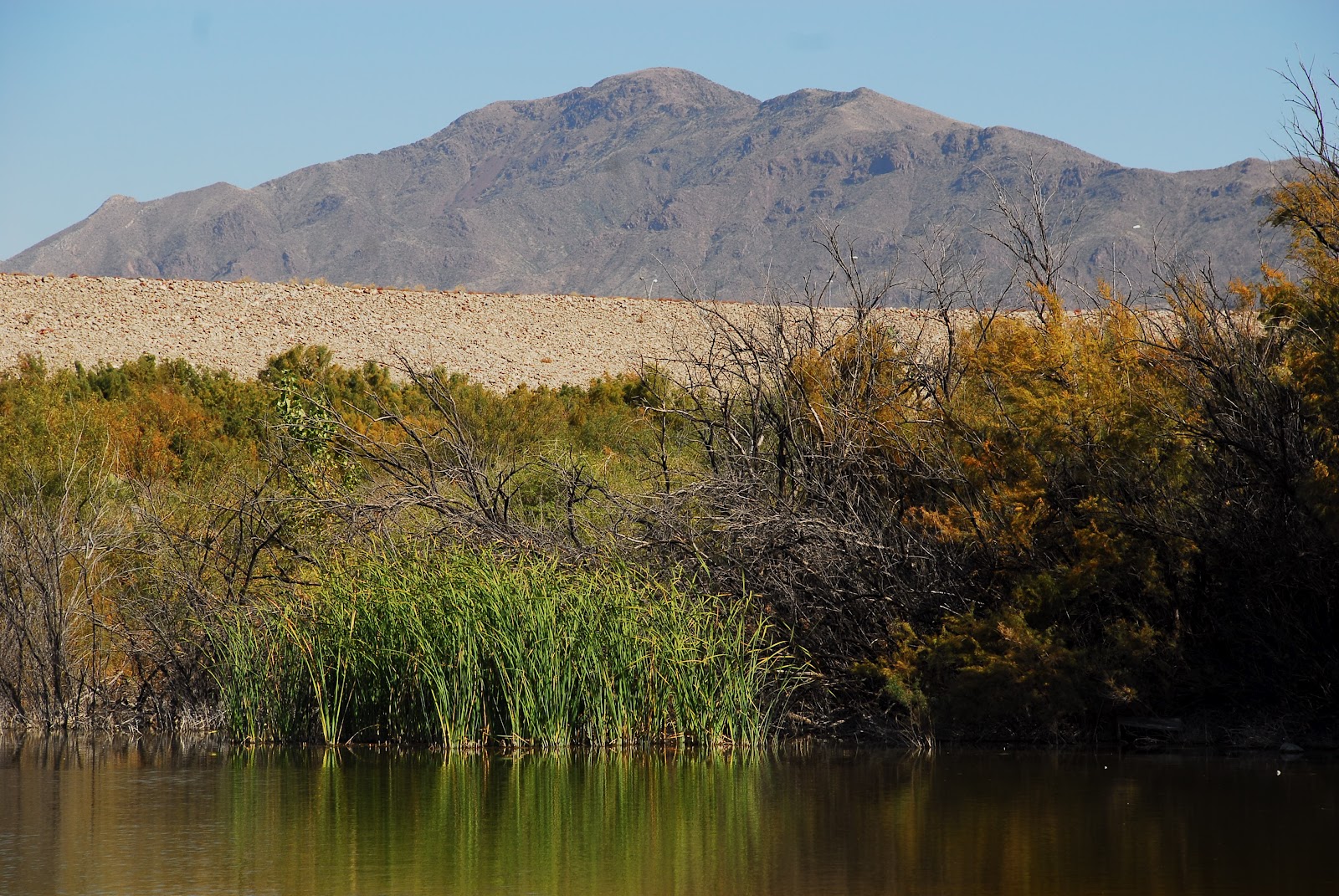 Texas Mountain Trail Daily Photo: An Oasis in the City: Keystone ...