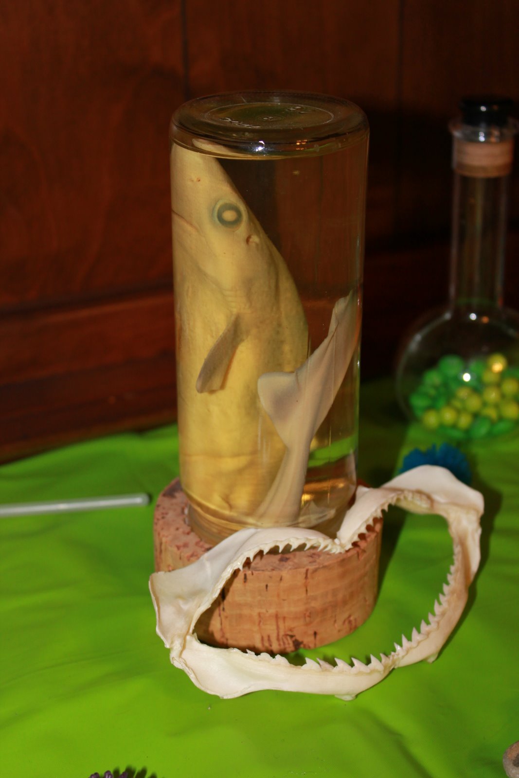 THE MUDDY PRINCESS: Science Birthday Party