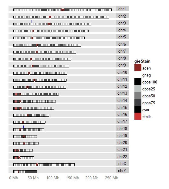 biographr: Go from gene symbols to a karyogram showing the positions of ...