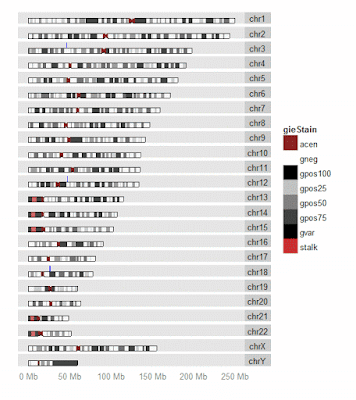 biographr: Go from gene symbols to a karyogram showing the positions of ...