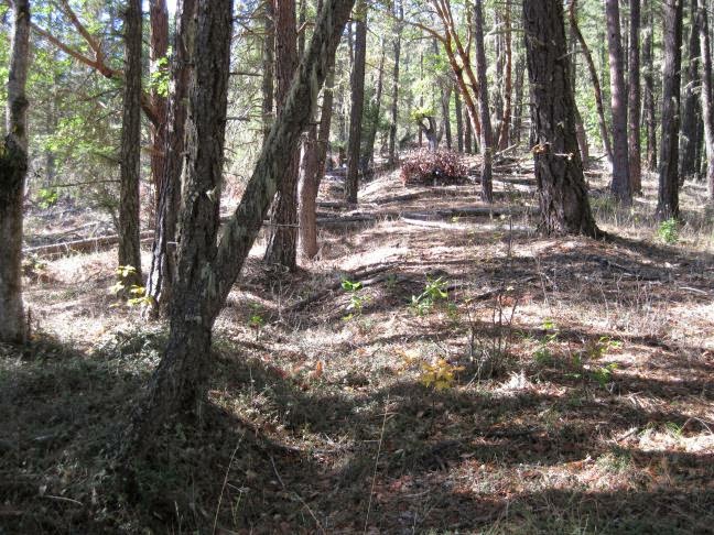 Hiking Sasquatch Country: 13 Gin Lin Mining Trail