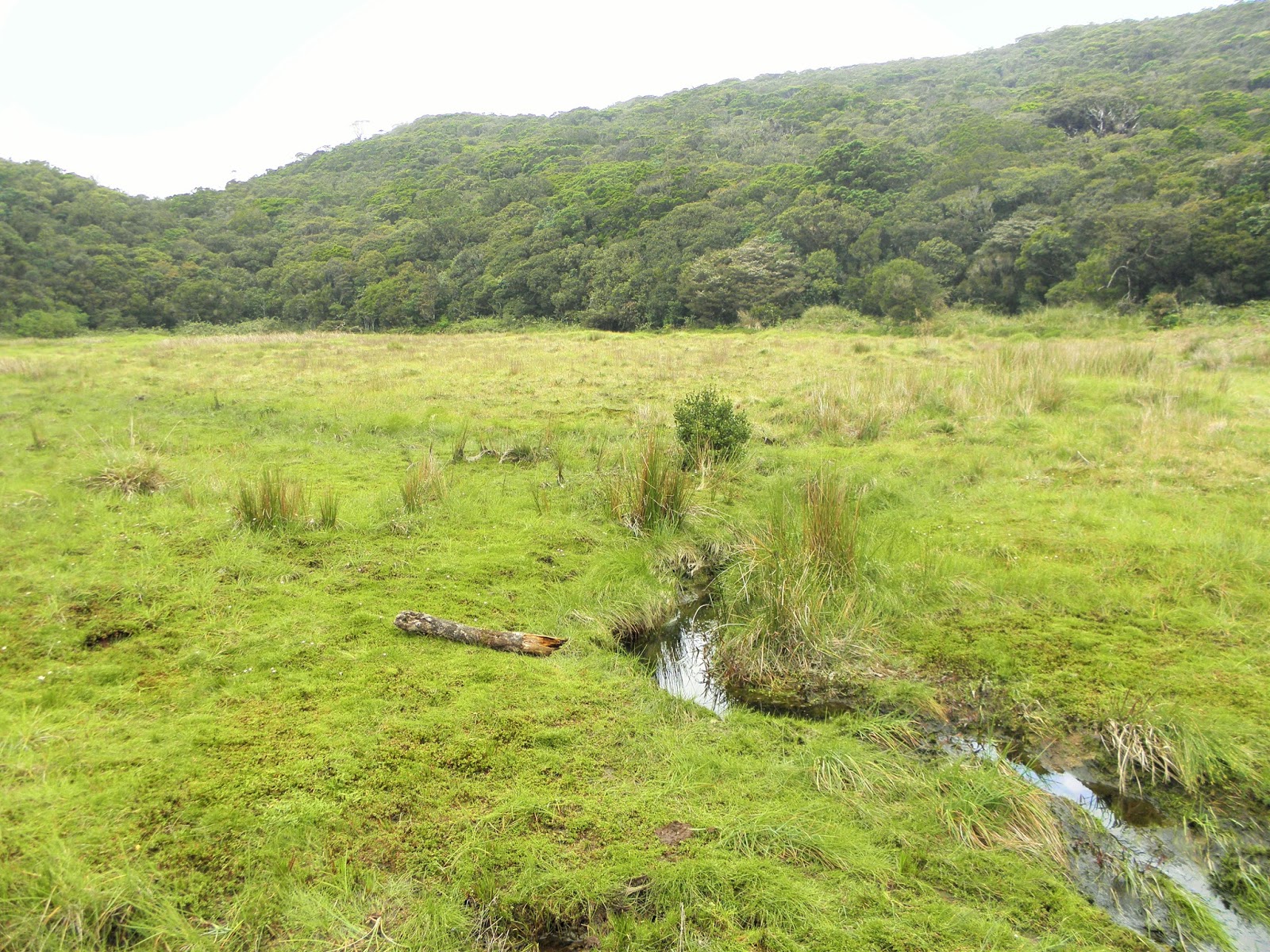 Hiking The Monkey Trails Of Mt. Tabayoc In Kabayan, Benguet