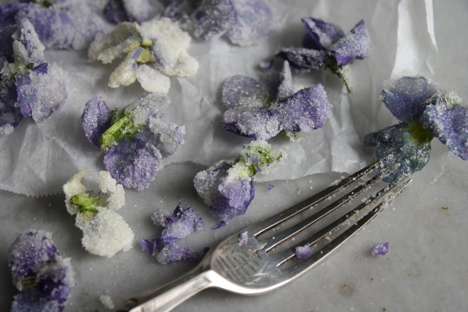 What's Cooking in your World?: Day 130.5 Candied Violets and Violet ...