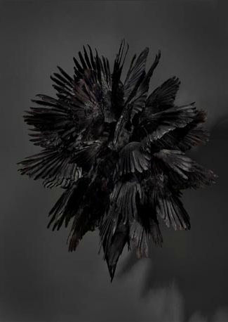 ART-OPOLOGY: Taxidermy Chic: Polly Morgan