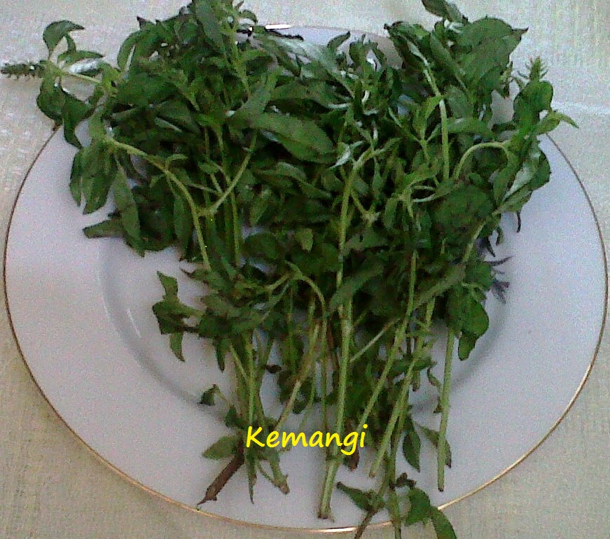 Resep Tumis Sayur Gedi Khas Manado - Resep caca