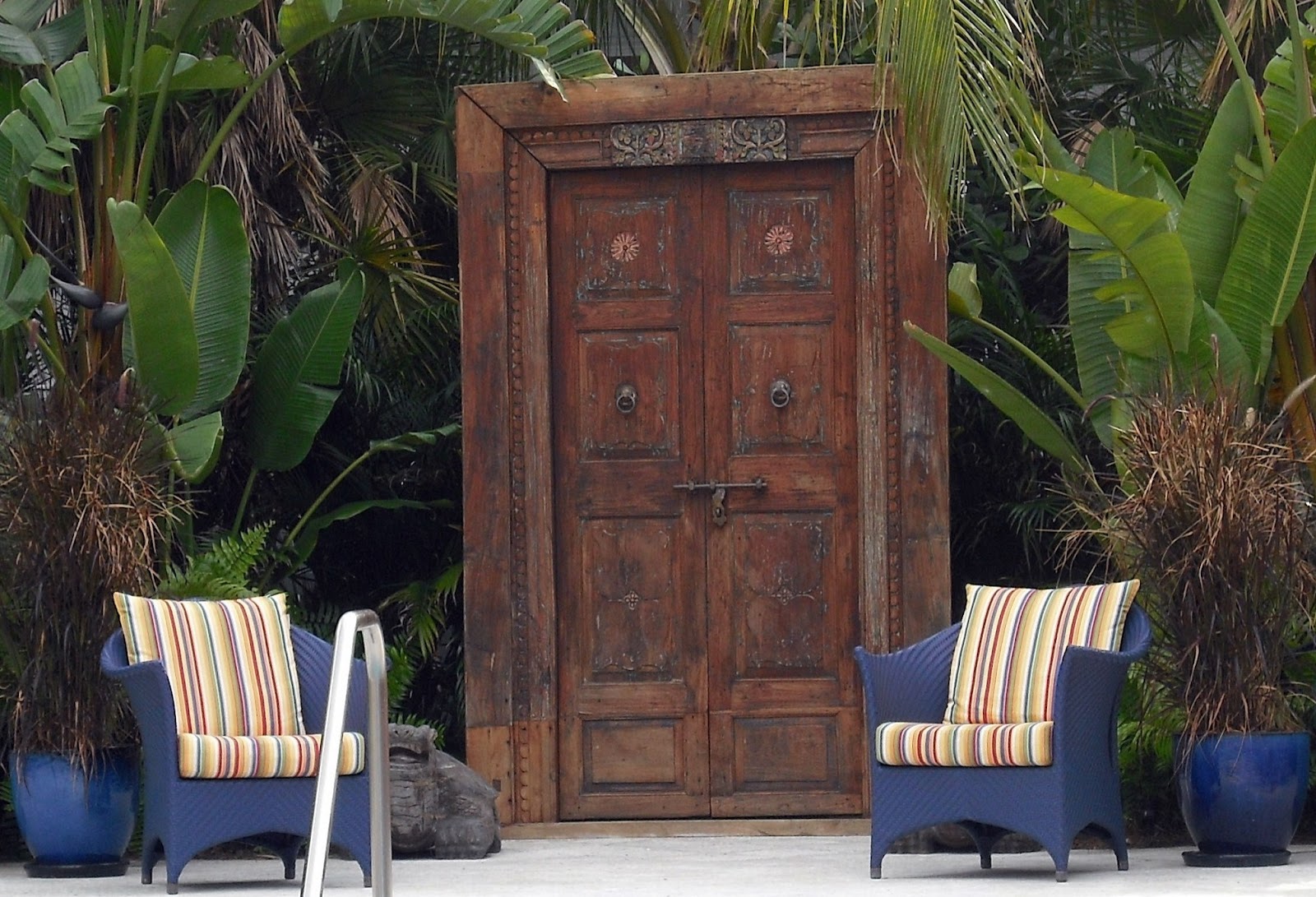 A month of....Blog: Doors: Garden