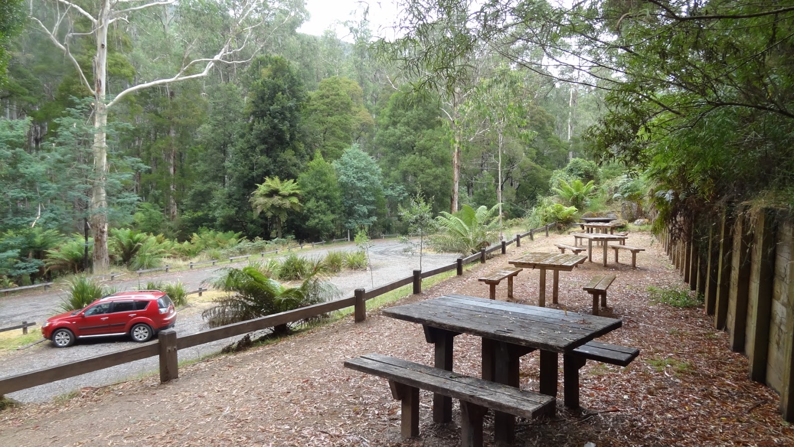 Back To Nature:: Toorongo Falls - Baw Baw NP - VIC