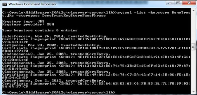Learning SOA: Call Salesforce web service using cloud adapter