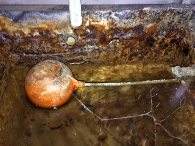 GES Water-Experienced Professionals in Legionella Prevention.: Cold ...