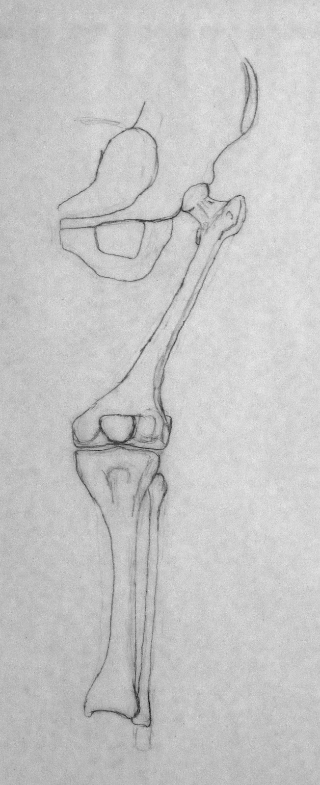 Learning to draw: Learning to see: Studies of Structure