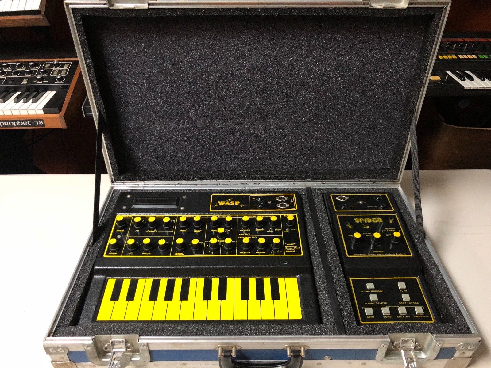 MATRIXSYNTH: EDP Wasp and Spider and Road Case