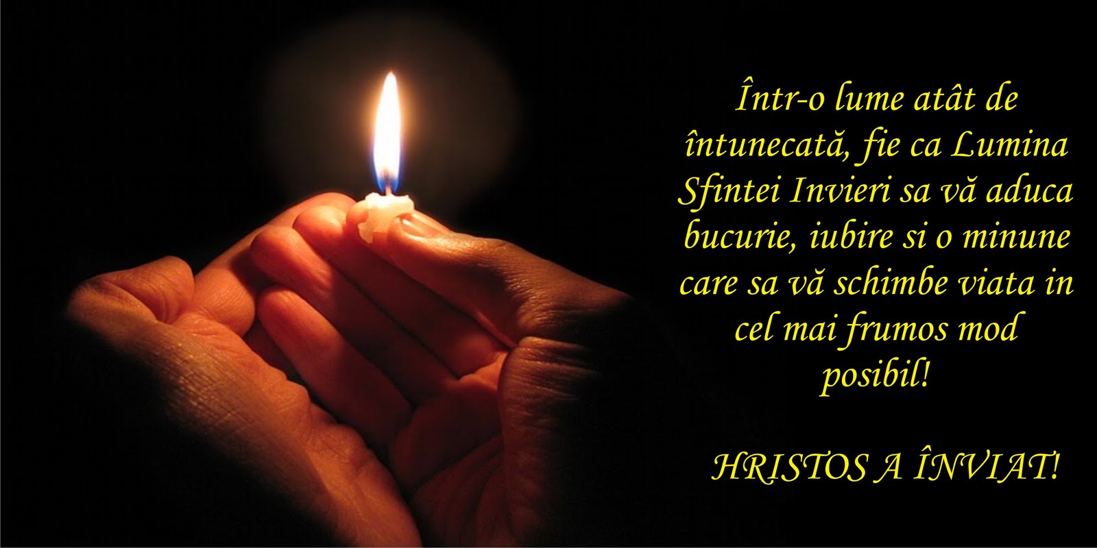 Pro Bucovina Cernăuți: Dragii noştri!