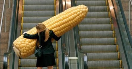 The fear of phobias | Daily Vowel Movements