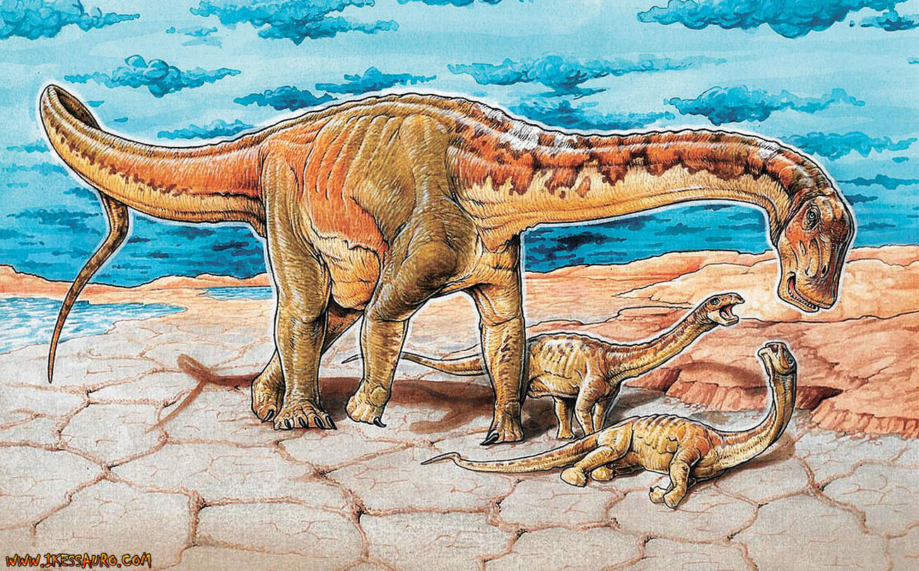 Lavocatisaurus agrioensis: um novo saurópode argentino | Ikessauro
