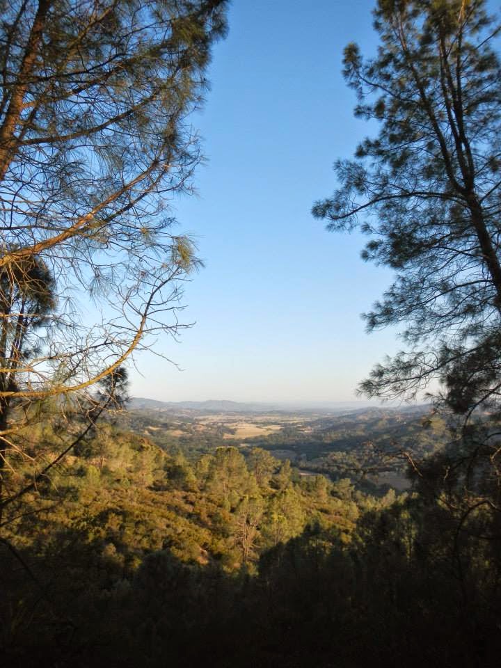 Goblin Ranger: Rinconada PSK - CENTRAL COAST BUSHCRAFT Outing