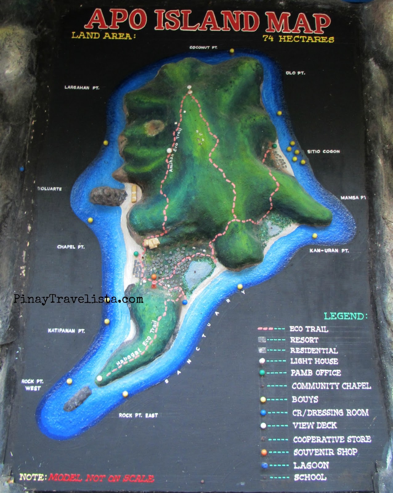 APO ISLAND TRAVEL GUIDE | How To Get There, Places To See, & More