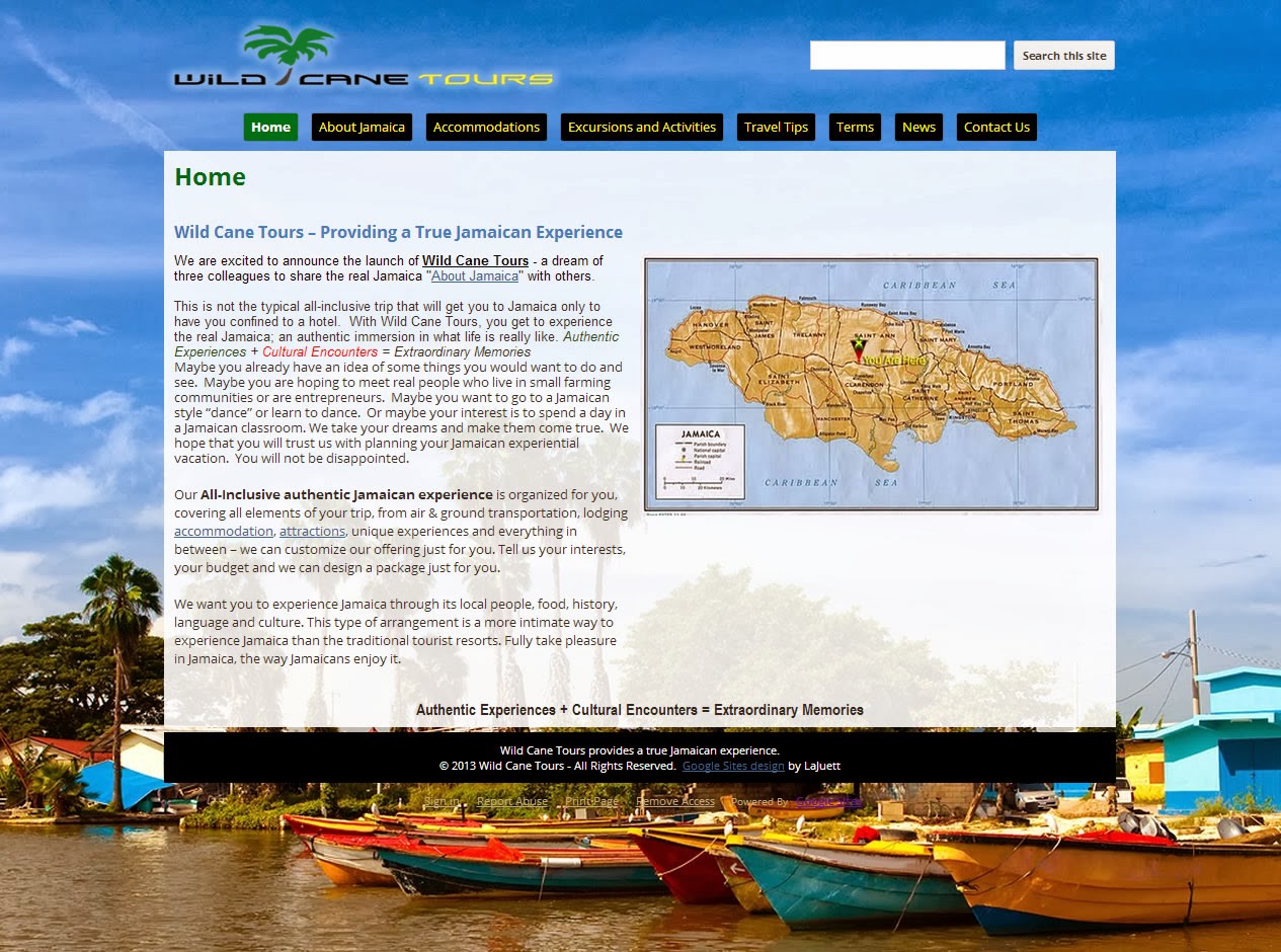 Custom Google Sites Web Design Examples