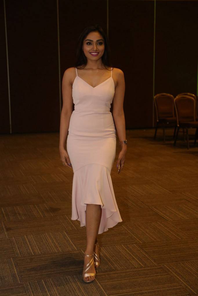 Aishwarya Devan at Rogue Audio Launch - South Indian Actress