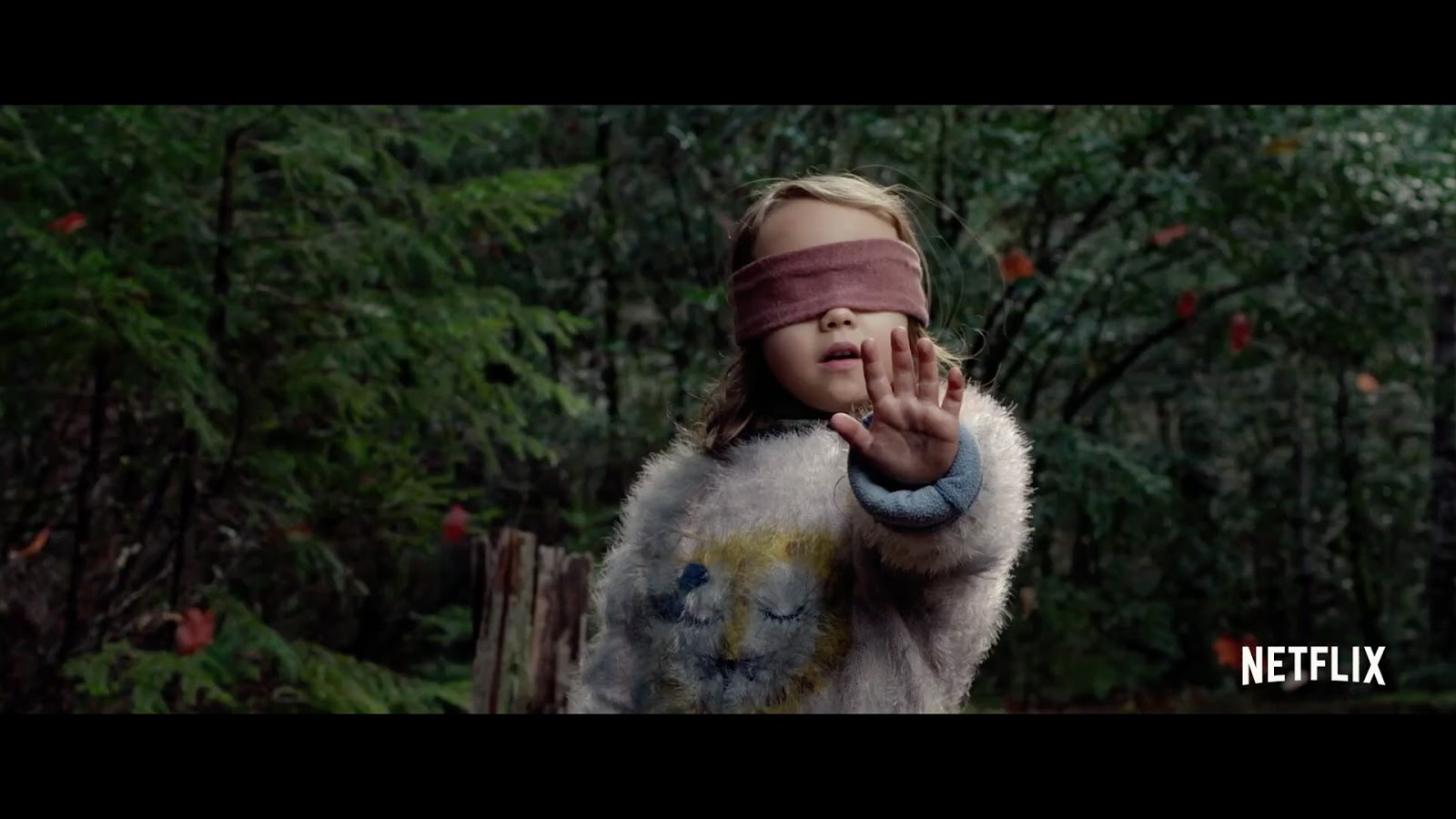 [FILME] Caixa de Pássaros (Bird Box), 2018 - Tudo que motiva