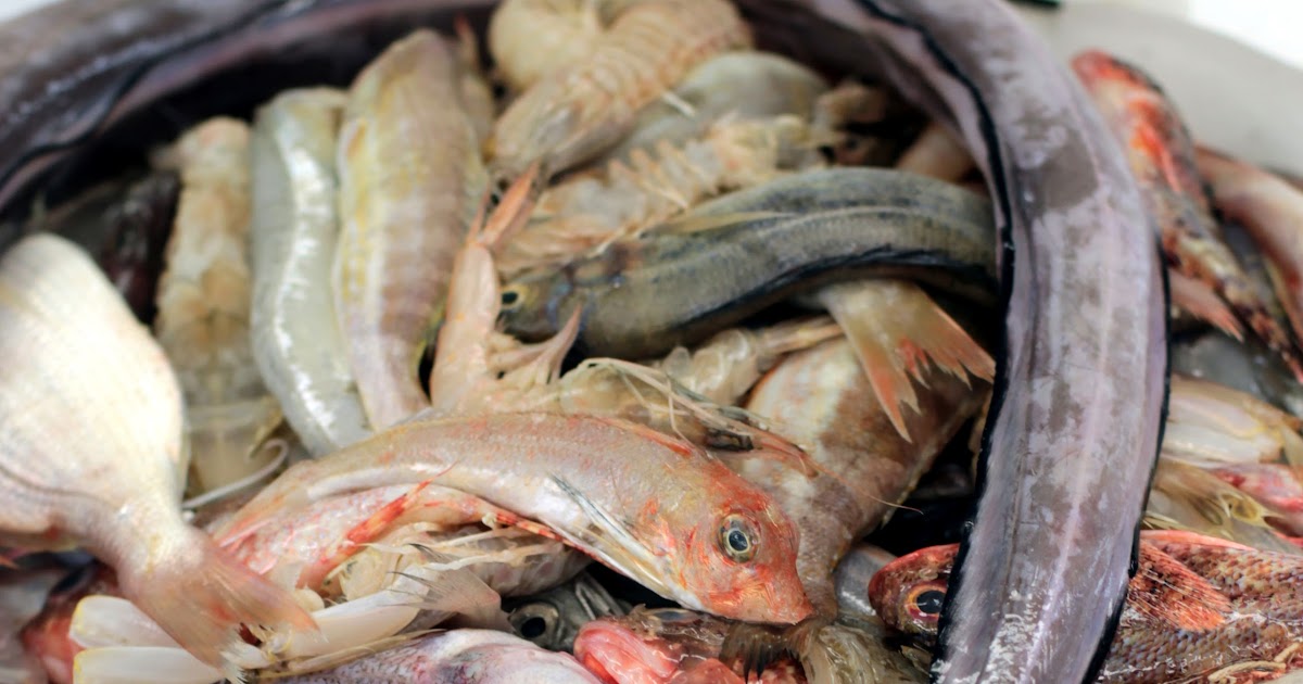 LE CINQUE ERBE: Grongo e Ciuppin