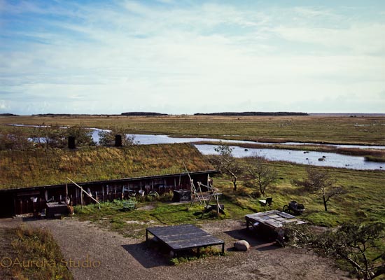 Northern Photo Gallery : Laesoe Salt, Laeso, Denmark