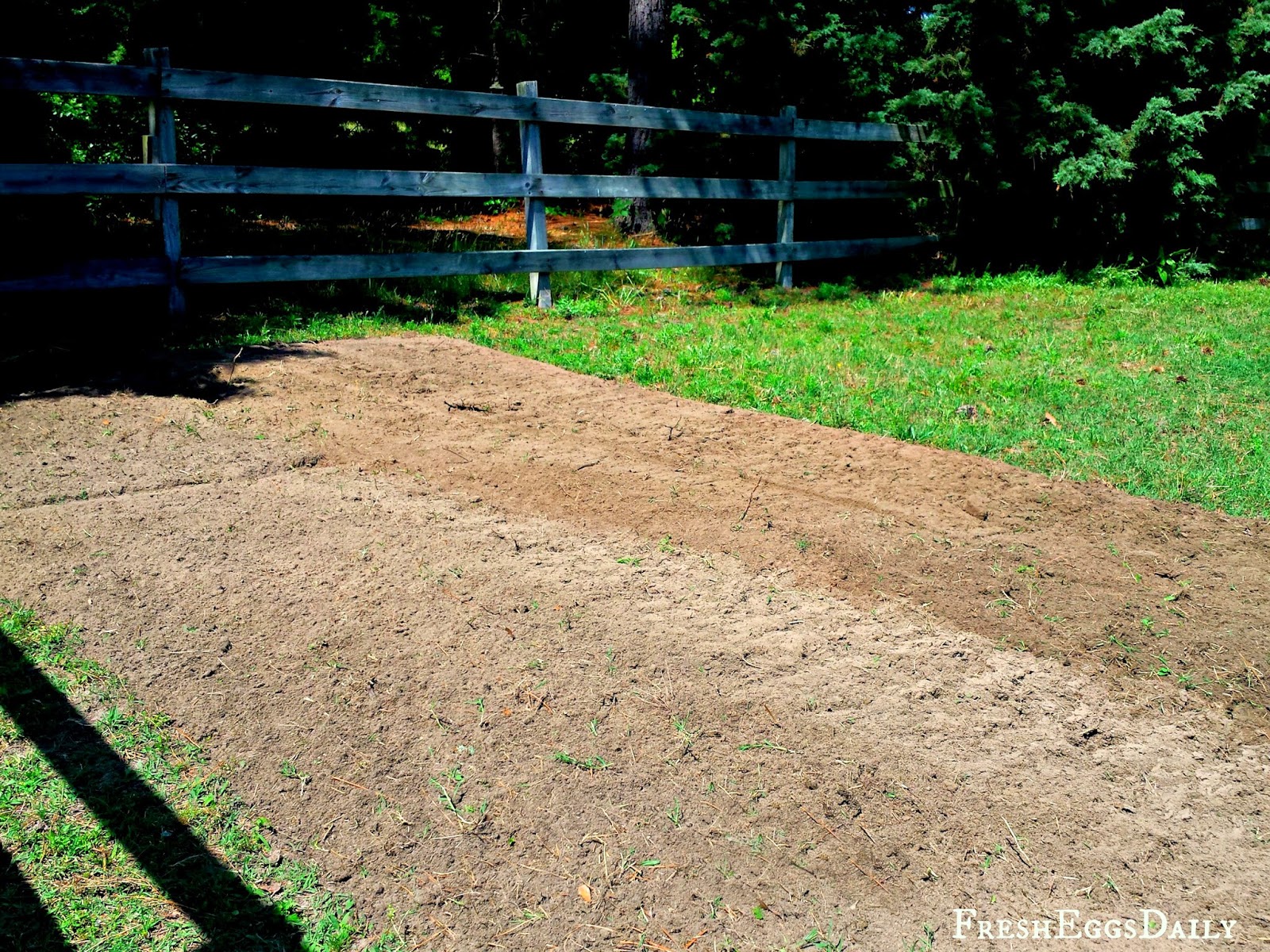 Our New Melon Garden | Stage One: Tilling and Planting - Fresh Eggs ...