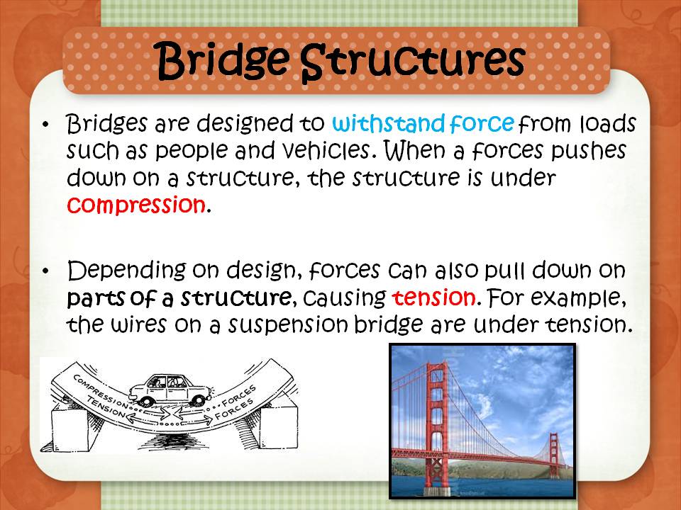 Ms Rashid: Science - Bridge Structures