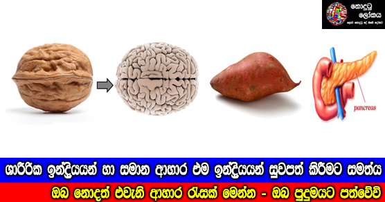 Foods that resemble body parts