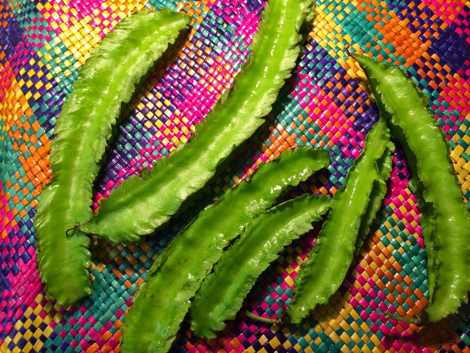 Chef Rafi Cooks The World