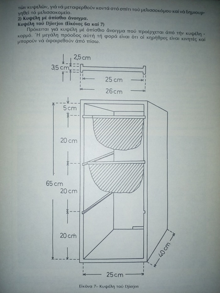 Η ιστορική εξέλιξη της κυψέλης: Σύμφωνα με τις εργασίες του Friedrich ...