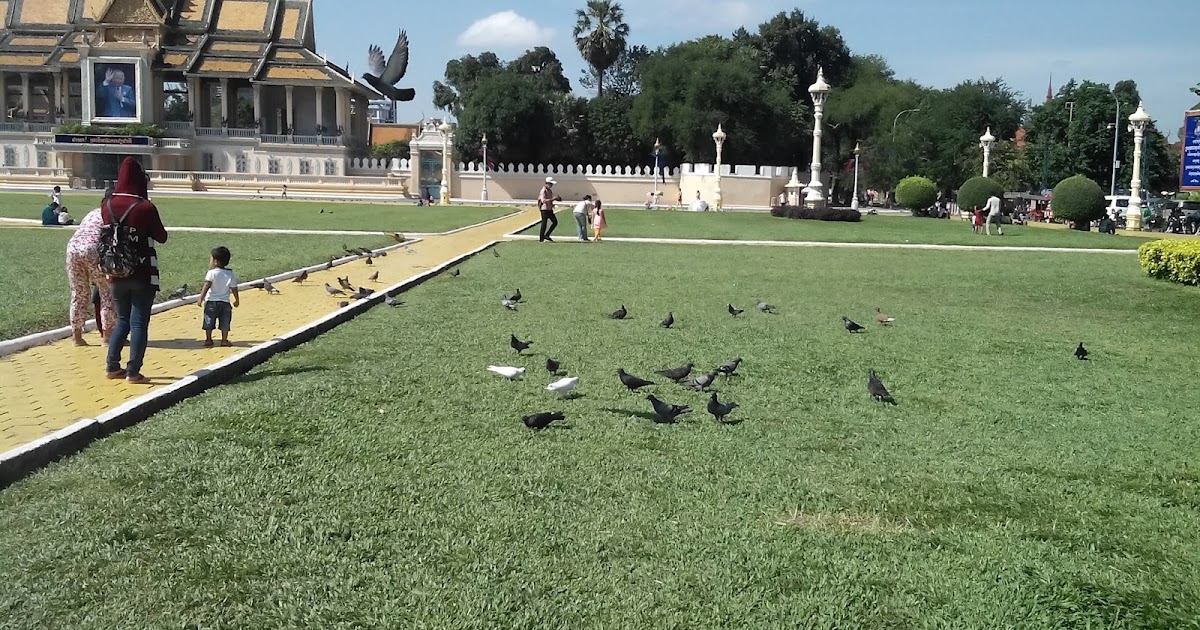 Joint Nature: រៀនមើល How to Look!