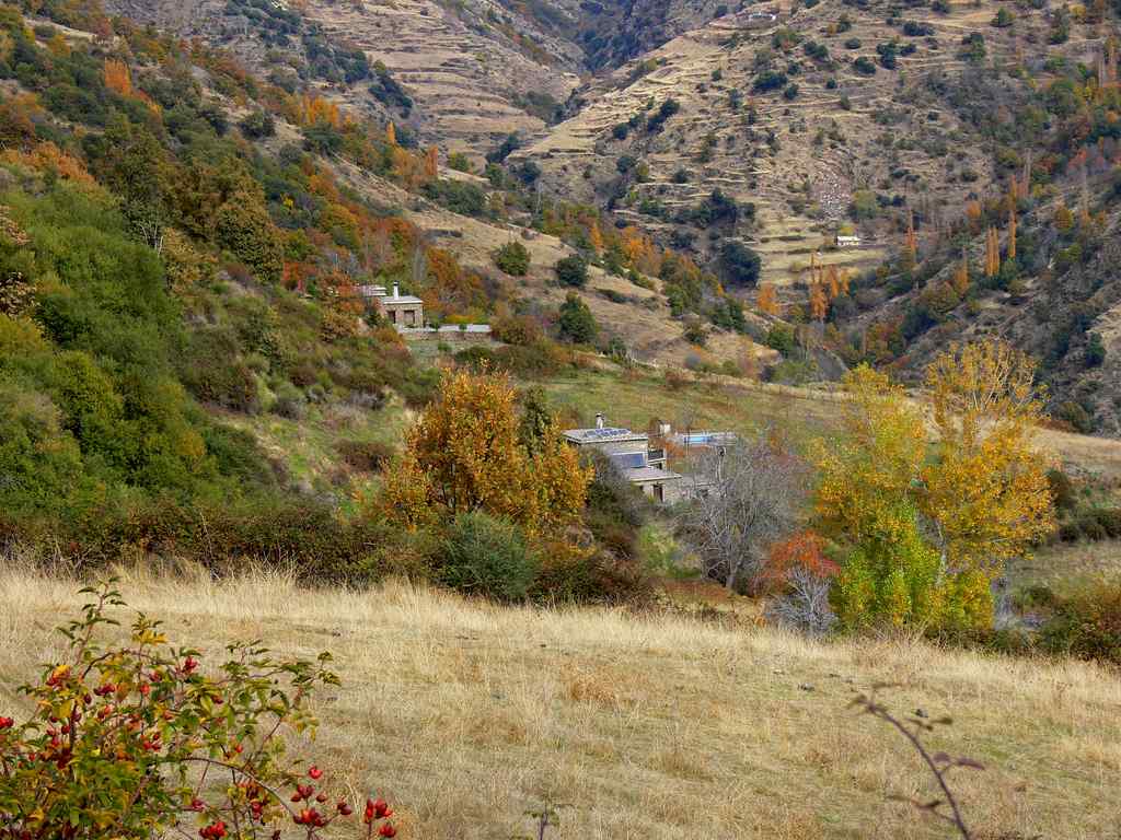Sierra Nevada - Rincones - 2 -: ESPECTACULAR OTOÑO EN EL BARRANCO DEL ...