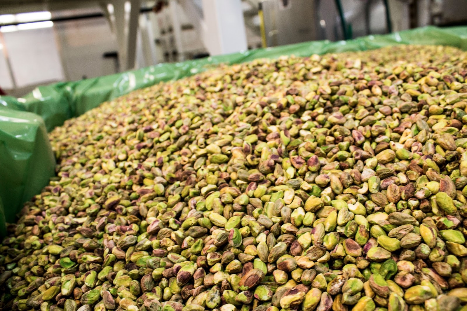 Caroline's Cues: Nuts...about agriculture