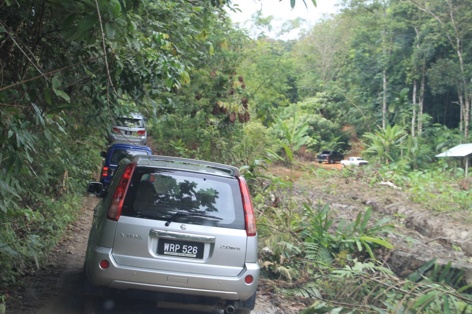 YB DATUK MOHD TAJUDIN ABDULLAH: Lawatan ke Ladang Lada Hitam/Putih oleh ...
