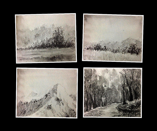 Paintings and Drawings by Manju Panchal: Using water soluble graphite ...