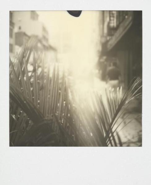 lella costa é mia sorella: impossible project