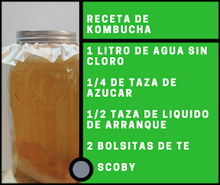 Como se hace la Kombucha. Receta explicación paso a paso - Hecho en casa natural