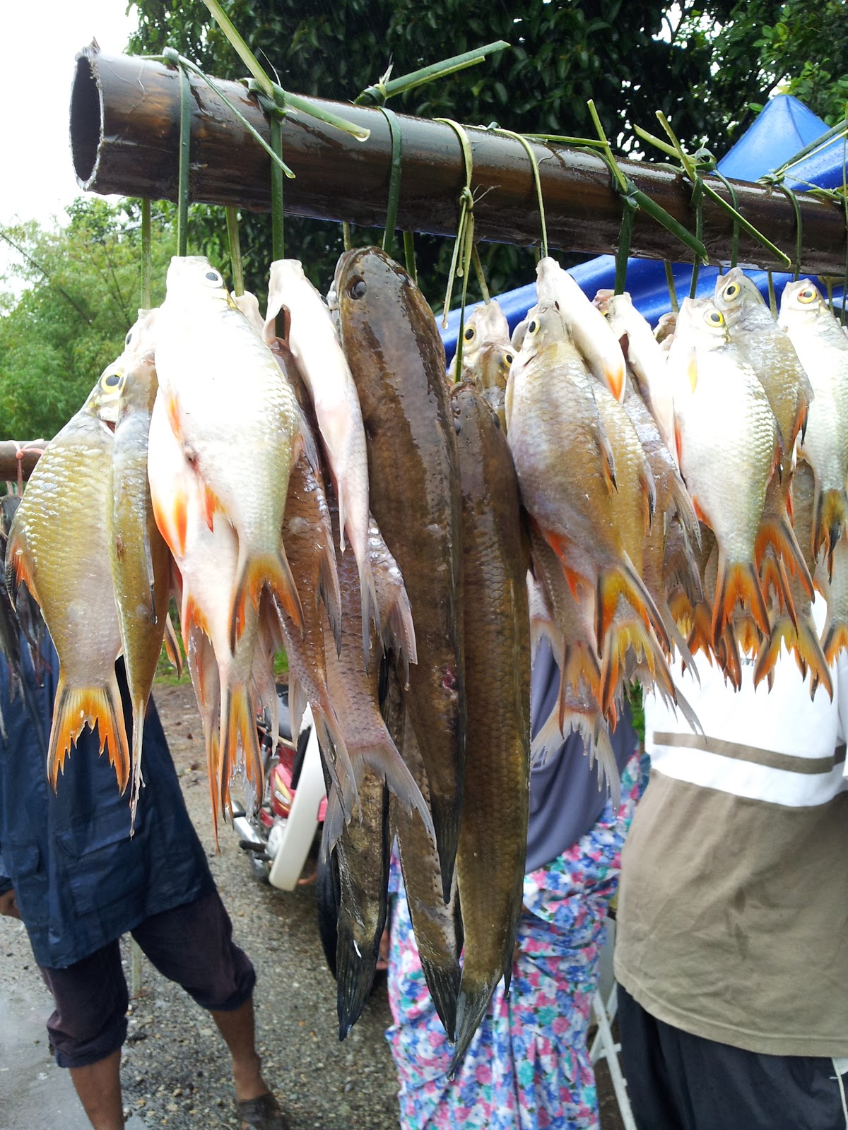 cloudymonday: 31122012: Lampam Jawa & Kerabu Maggi / Maggi Kerabu?