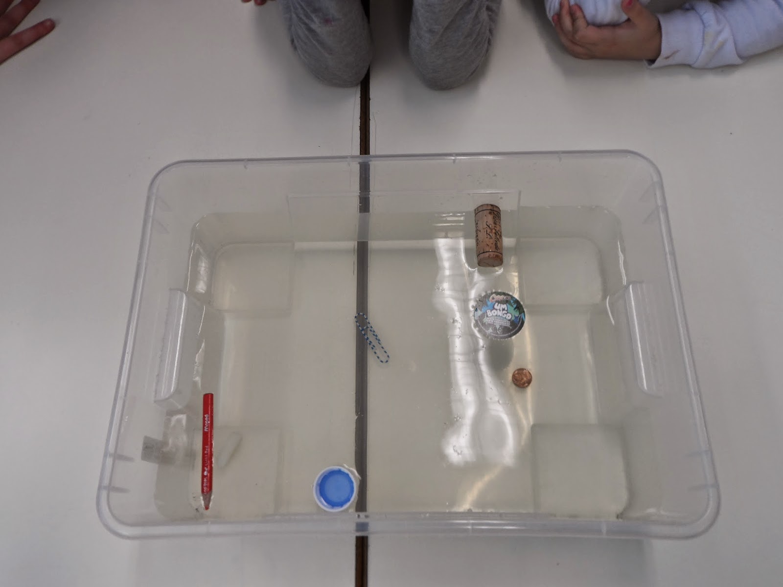 Atividades no Jardim de Infância: "Flutua ou Não Flutua"