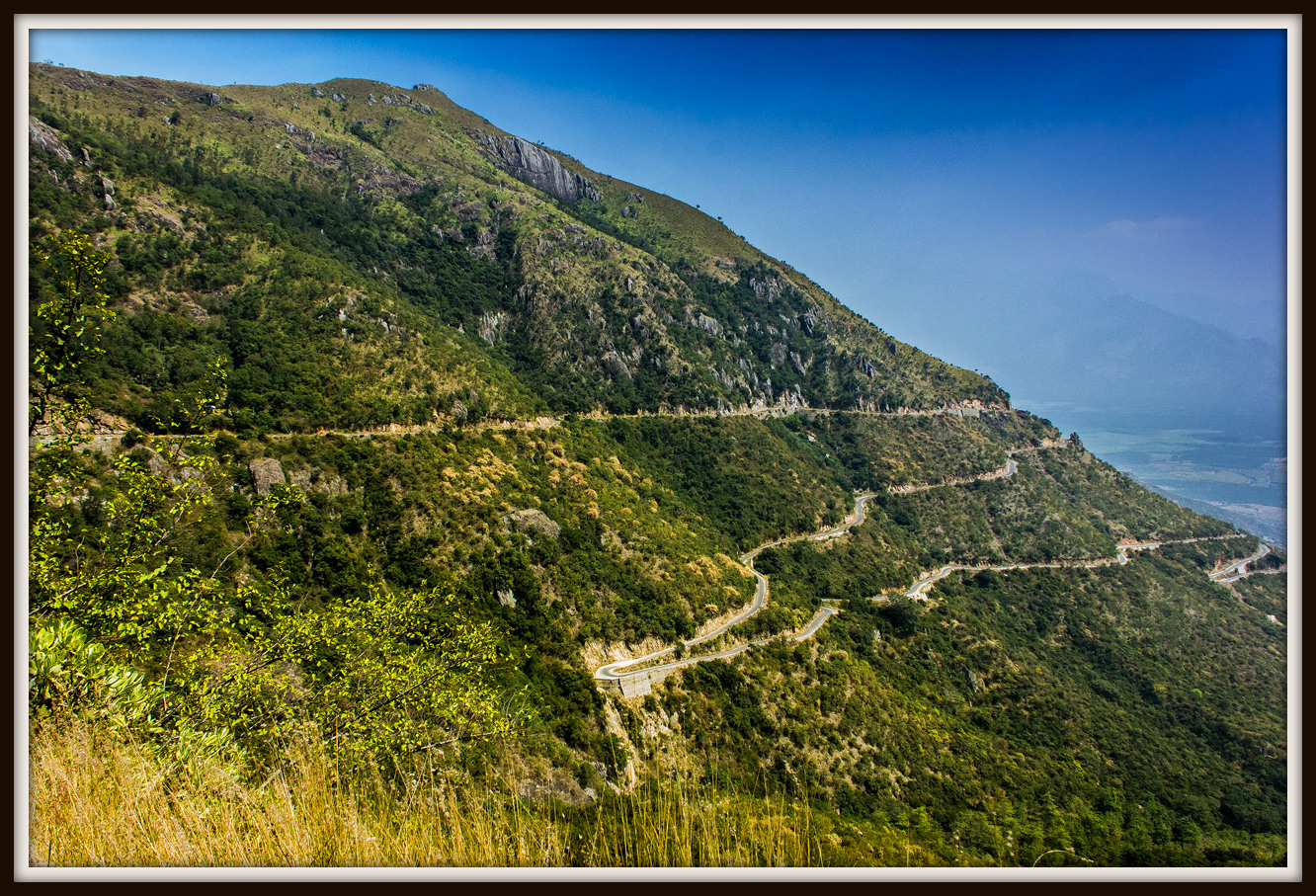 The Traveller: Munnar, nature all around