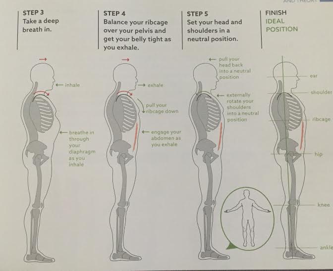Imagine Believe Achieve : Understanding The Importance Of Bracing The Spine