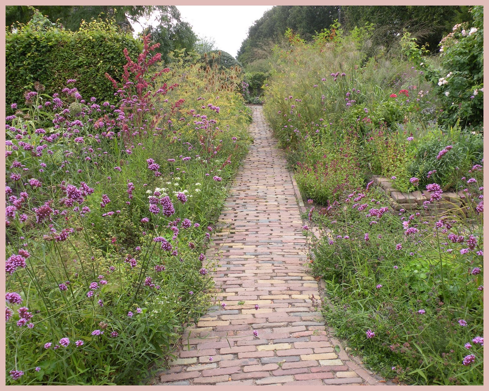 marieke nolsen: De tuin van Geke Rook in St. Jans Klooster