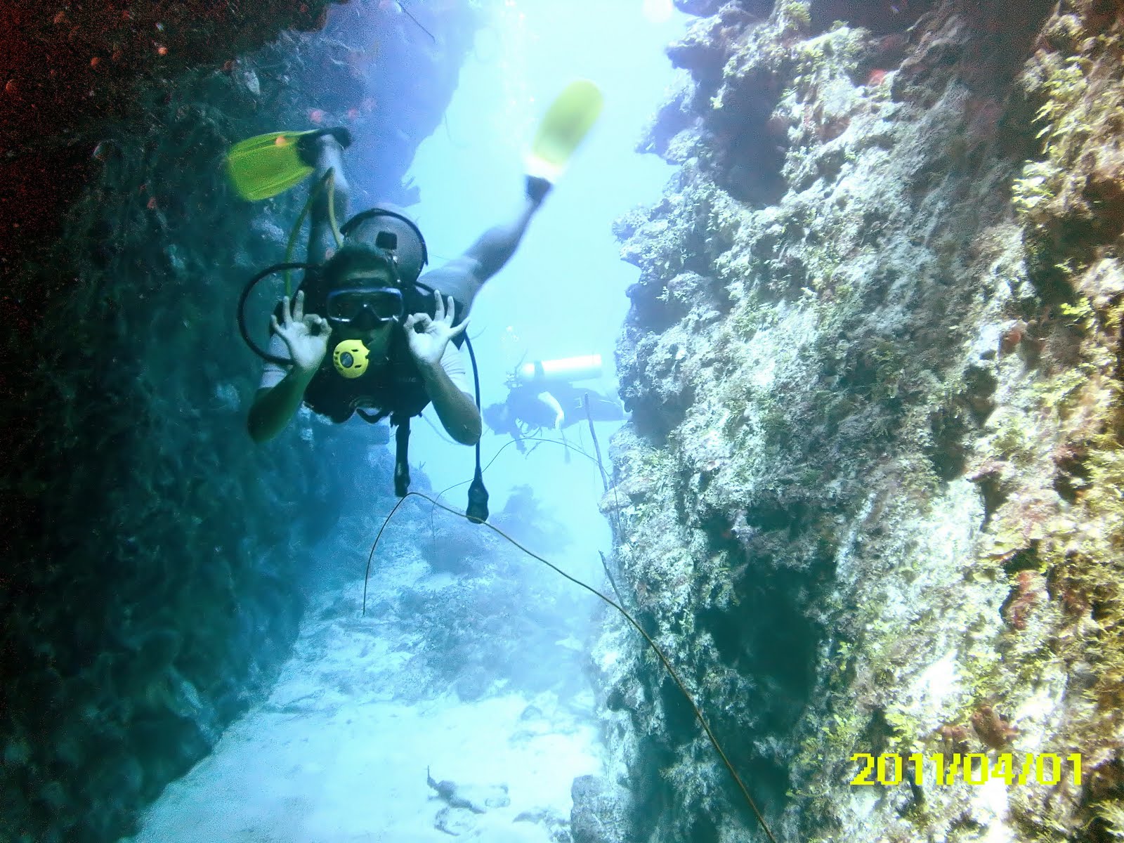 ESCUBA EN PROVIDENCIA ISLA, LA TERCERA BARRERA CORALINA DEL MUNDO ...
