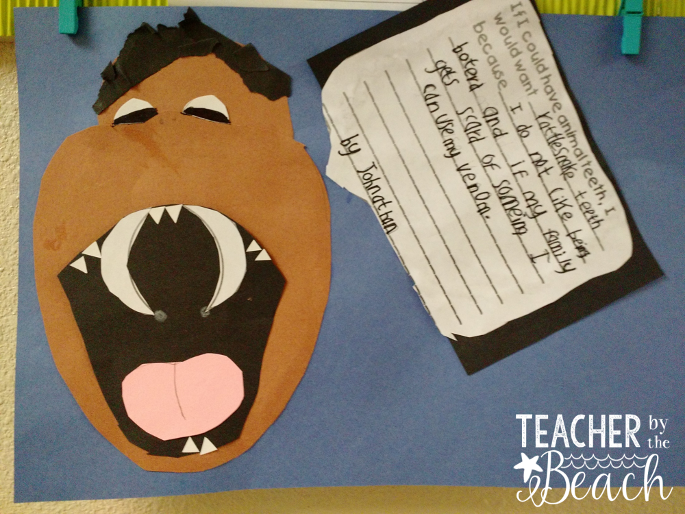 Animal Teeth - Teacher by the Beach