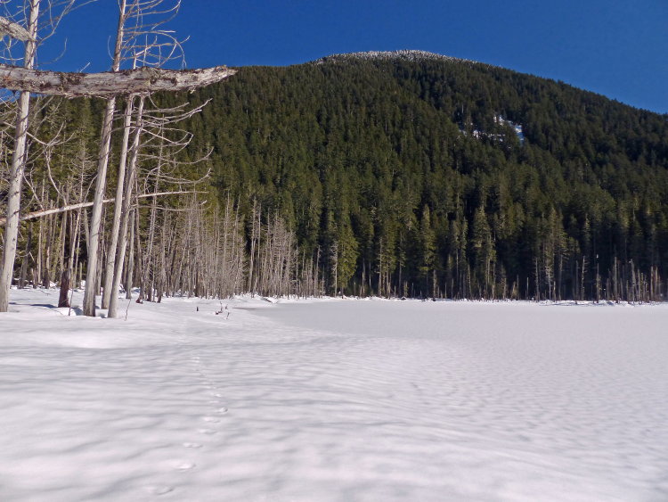 Fagin's Weather World - Hike Washington: Hike of the Week- Coplay Lake